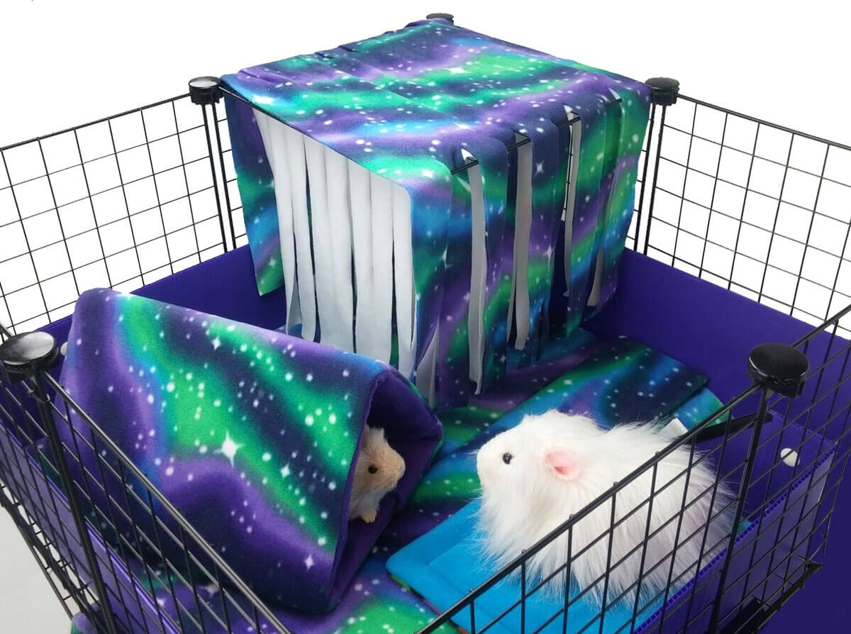 Cavy Cosmos - Cagetopia Creations