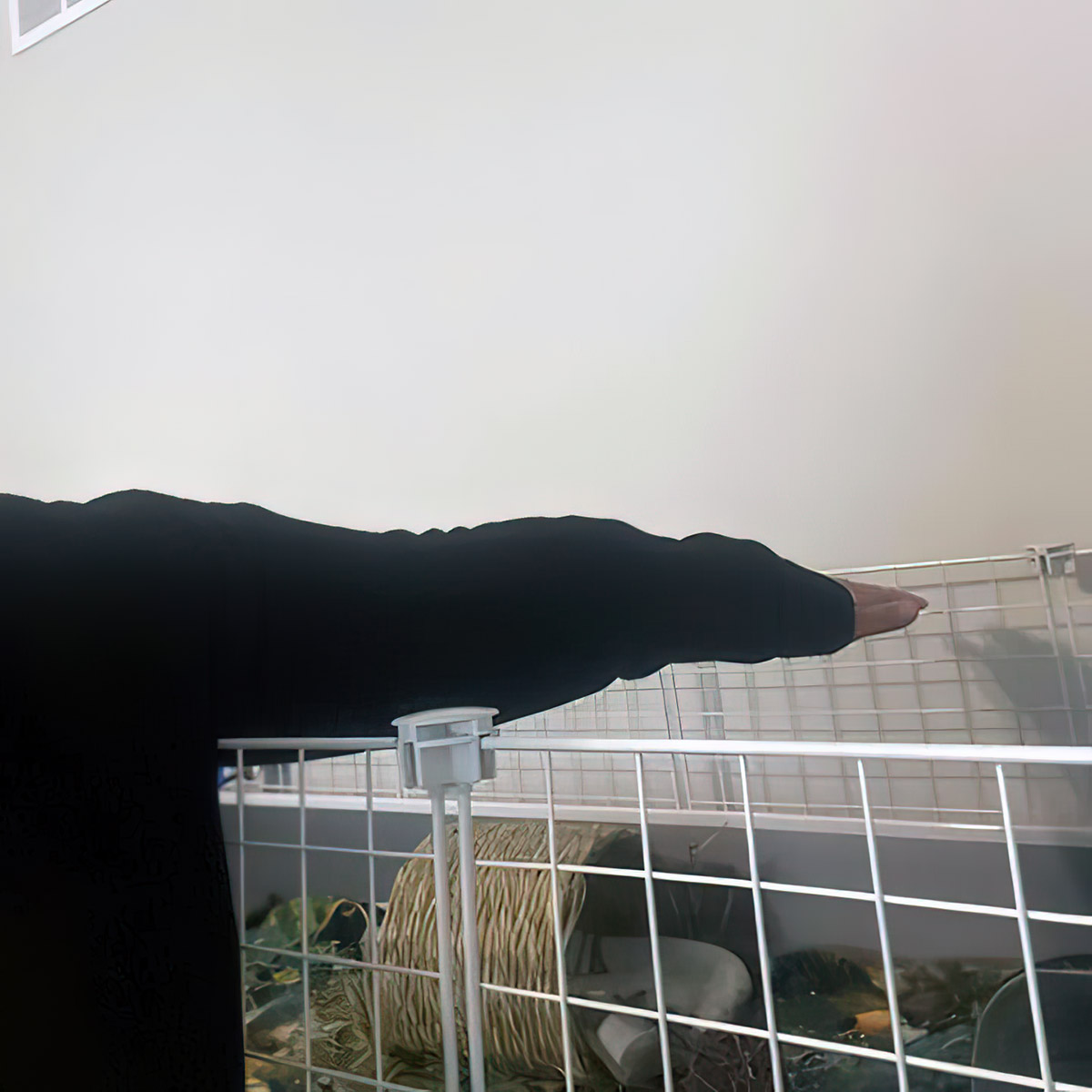 Kristie's Stacked Super Cage - Customer Stories