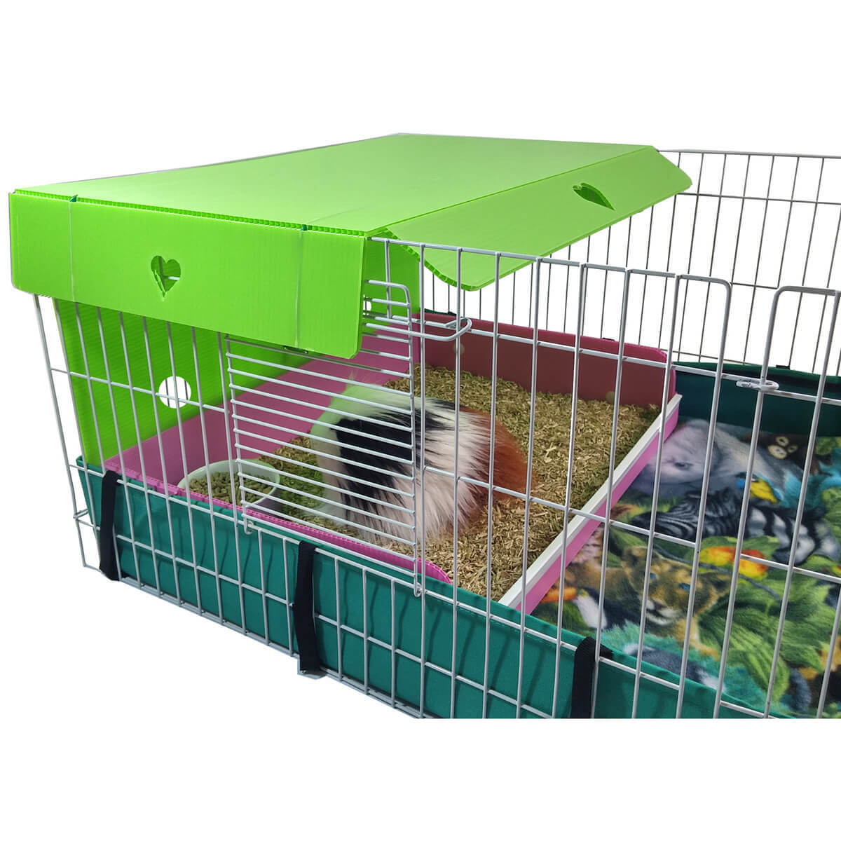 Midwest Cage Diner, Cavy Canopy and Cavy Backsplash